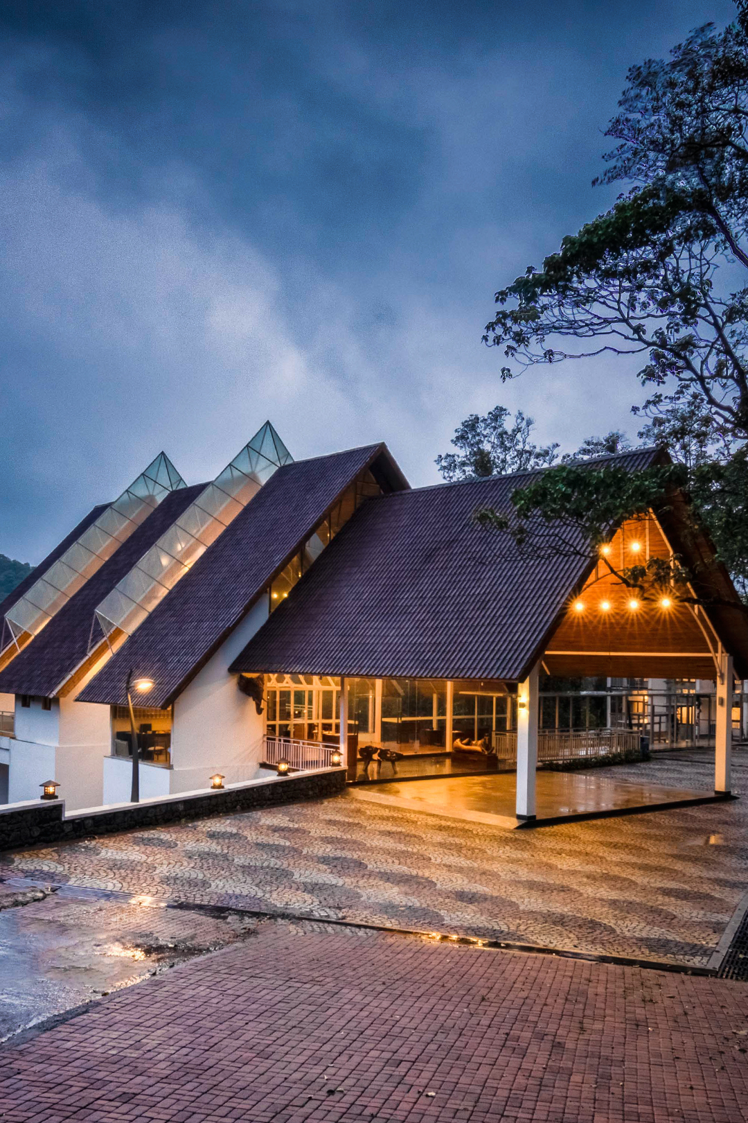 Best Resort in Munnar for Nature & Luxury | Elixir Hills