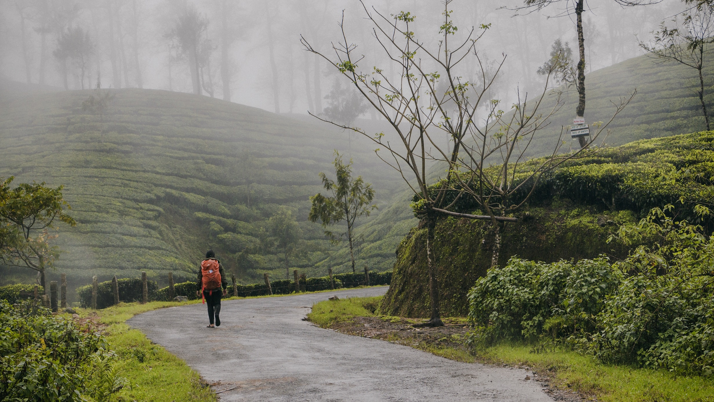 Top Ten Places To Visit In Munnar - ELIXIR HILLS